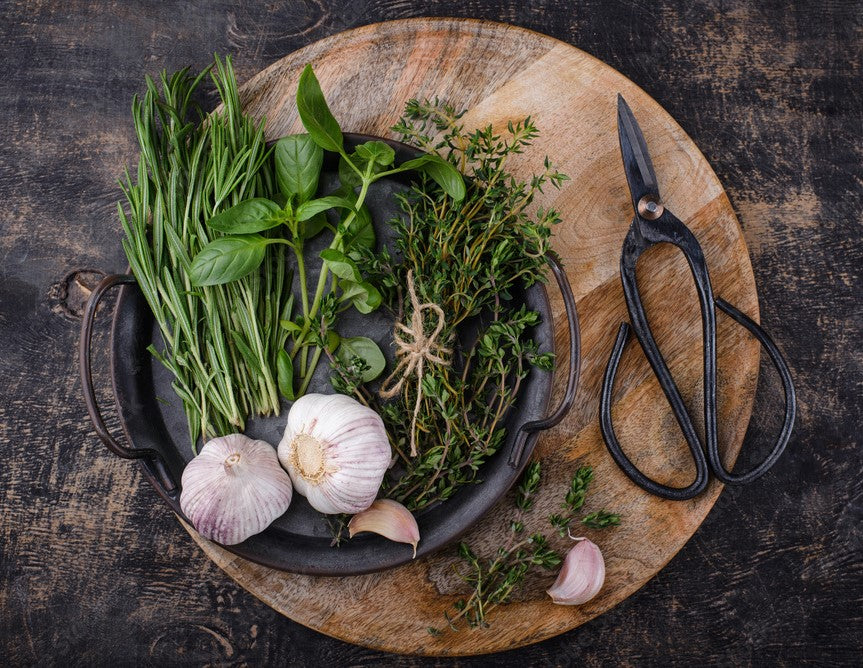 Seasonings - Hola, Pasta!